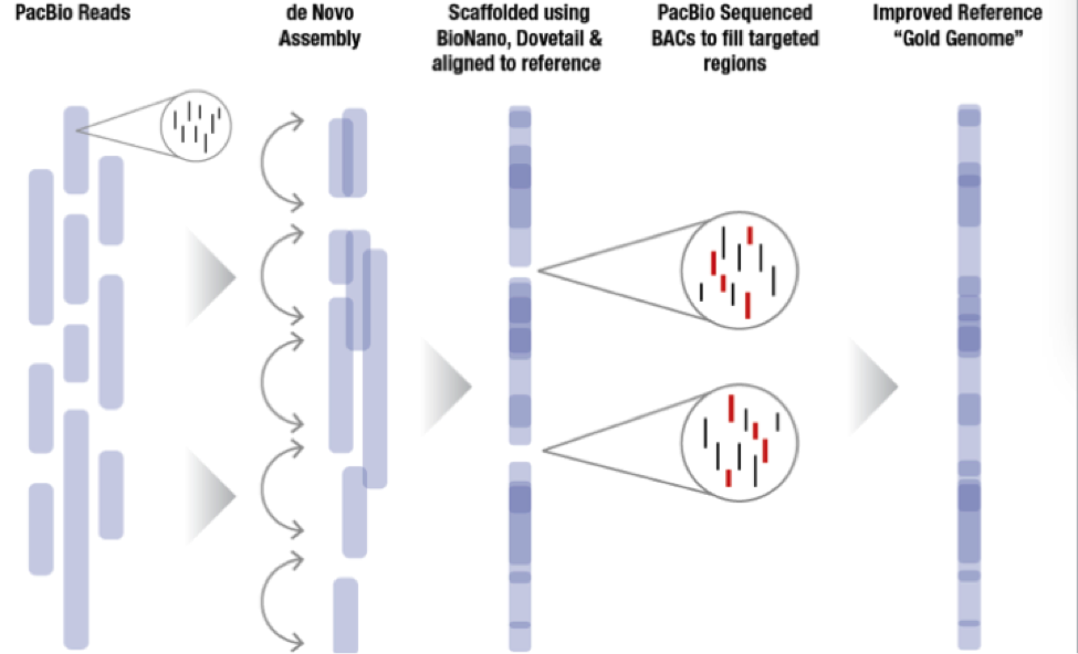 Post-ASHG: The Future of Genomics & Informatics in the Next 5 Years ...