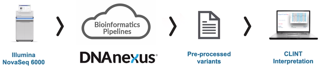 Scaling to Meet the Demands of Rare Disease Genetics - Inside DNAnexus