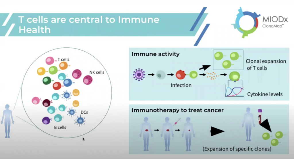 Computational Immunology: Tailoring Tools to Tackle the T-Cell Triad ...